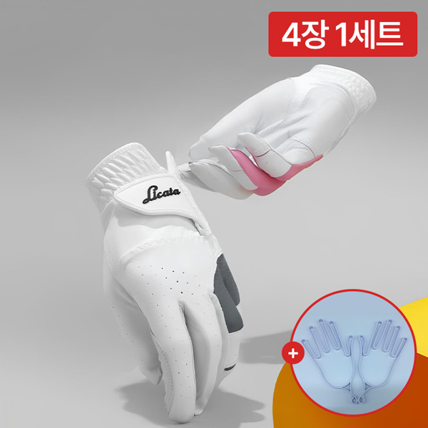 핫딜 4장 1세트 리카타 리카타 솔로스텔라 반양피 골프장갑 C26308 기능성 가성비 장갑 장갑건조기 1개 증정 딜팡 골프용품 전문쇼핑몰